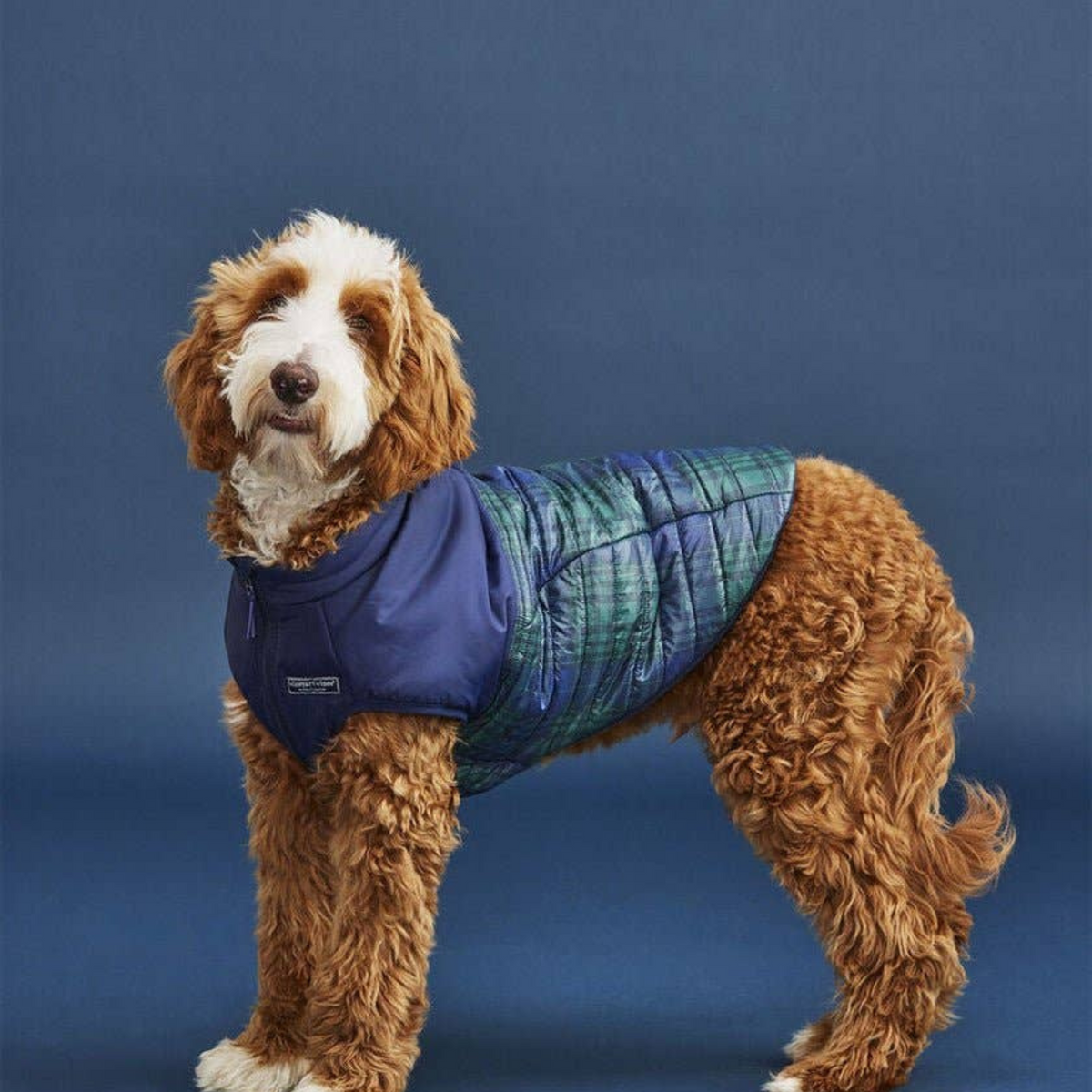 Dog Clothing, Bandanas & Ties – Page 2