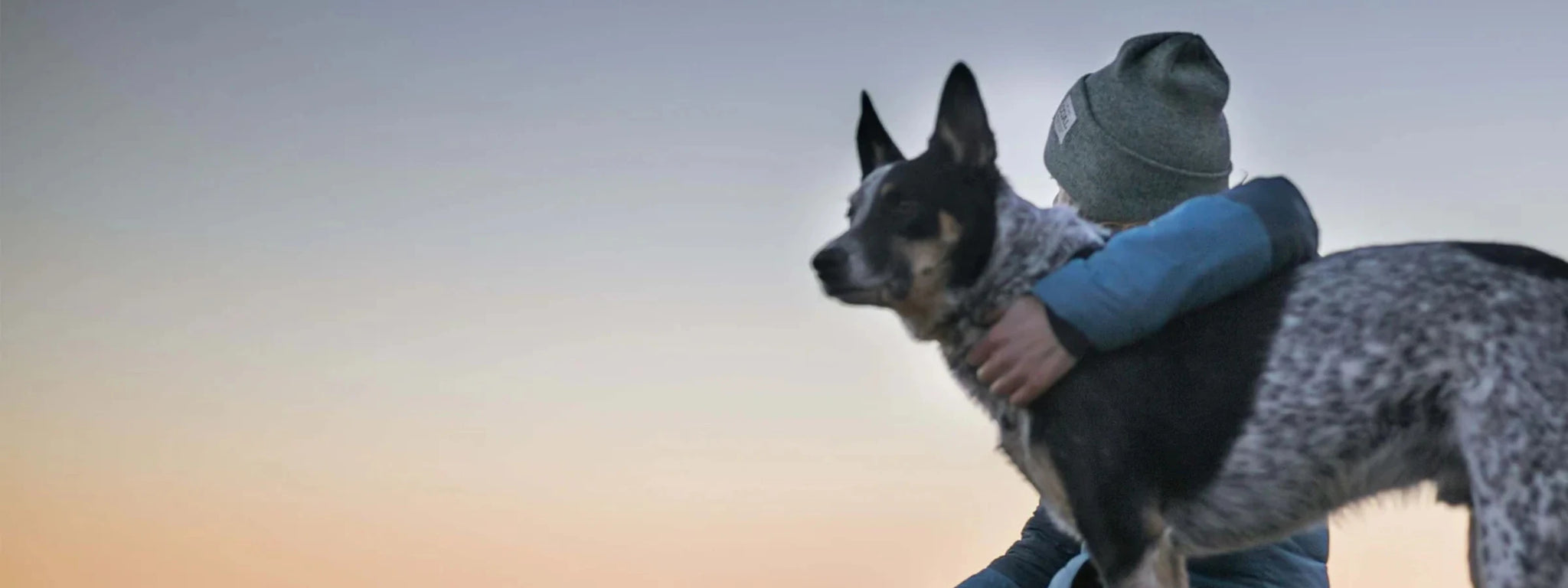 Get Joy Dog Food